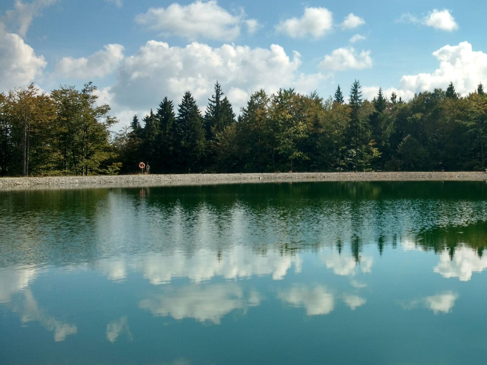 Nationalpark-FerienLand Bayerischer Wald | Der Almberg